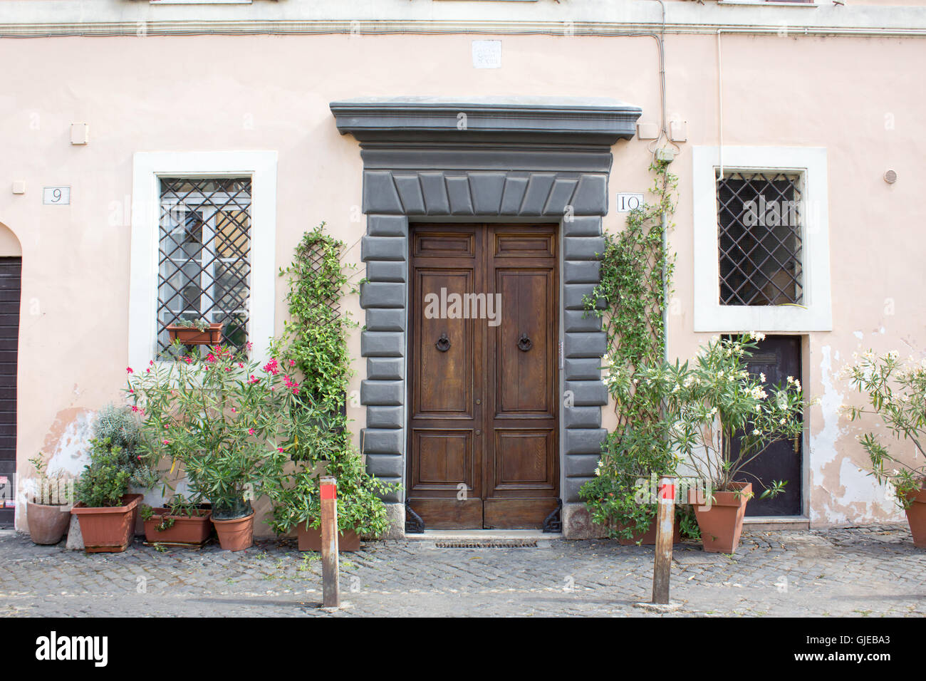 Roman plants hi-res stock photography and images - Alamy