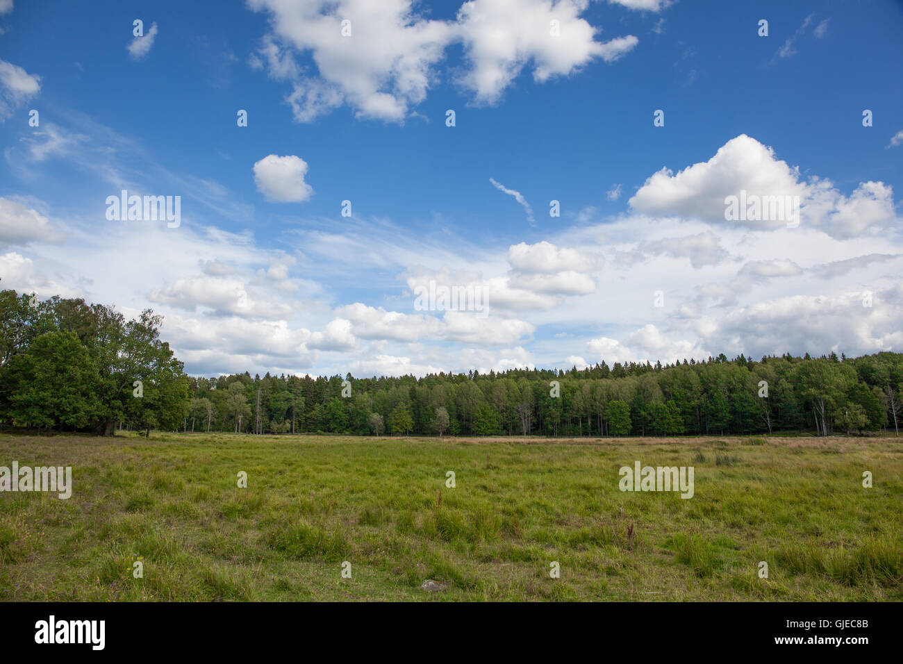 Stockholm during summer hi-res stock photography and images - Alamy