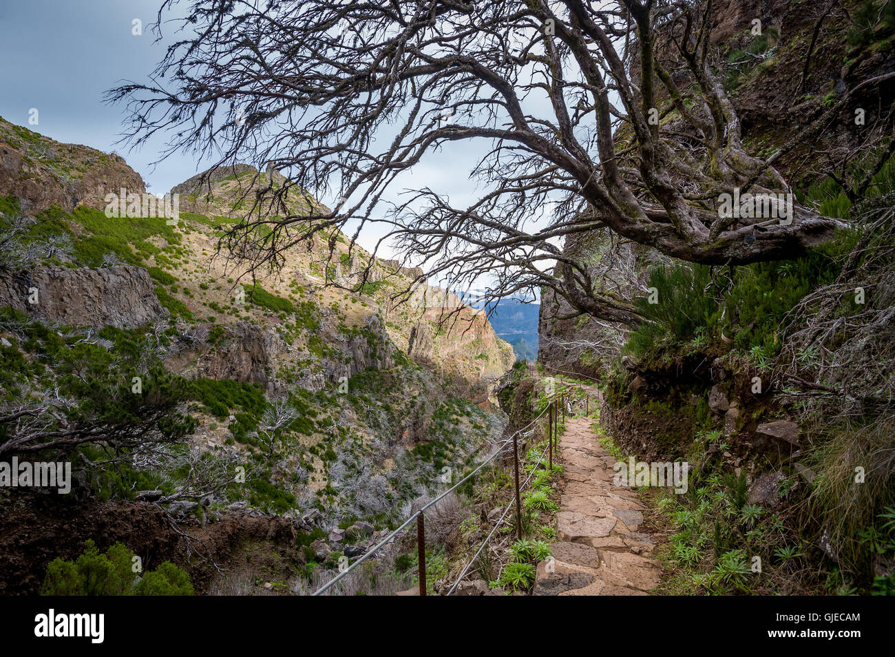 Climbing a rocky path hi-res stock photography and images - Alamy