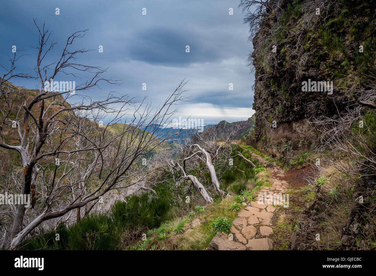 Dangerous hiking path at the mountains of Madeira island Stock Photo ...