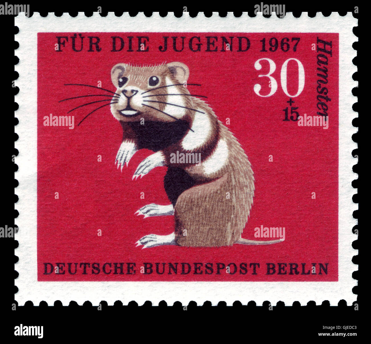 301 series hi-res stock photography and images - Alamy