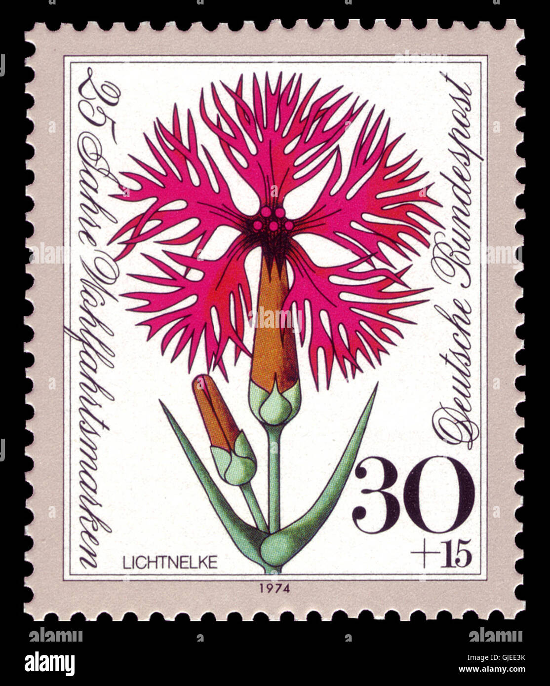 The DBP 1974 818 stamp features a depiction of flowers, symbolizing ...