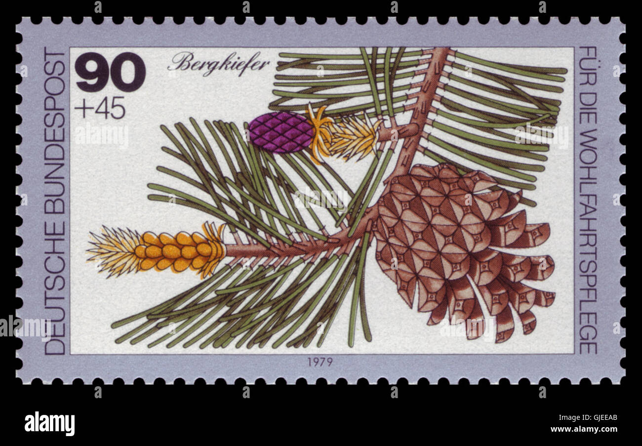 Issued in 1979 by the Deutsche Bundespost (DBP), the 1027 stamp ...