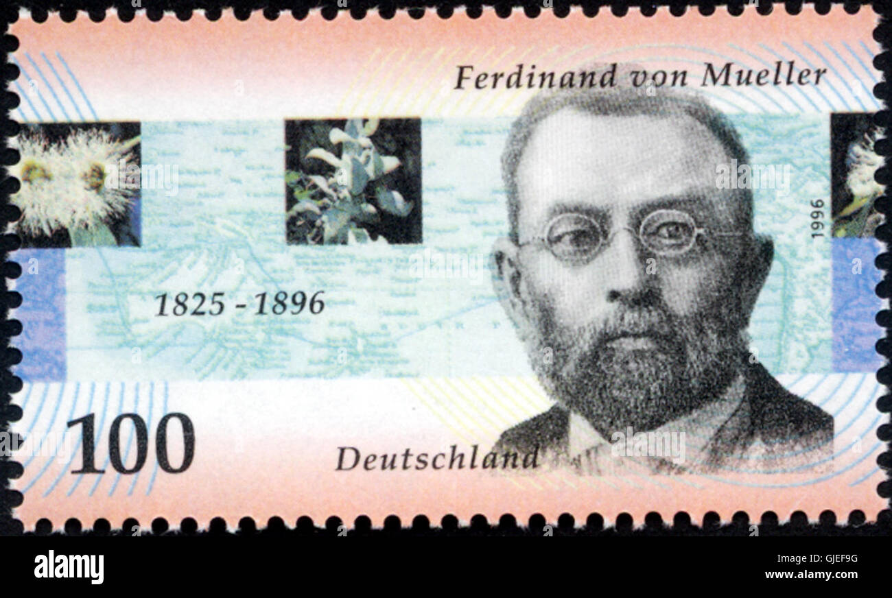 Stamp Germany 1996 Briefmarke Ferdinand von Mueller Stock Photo - Alamy