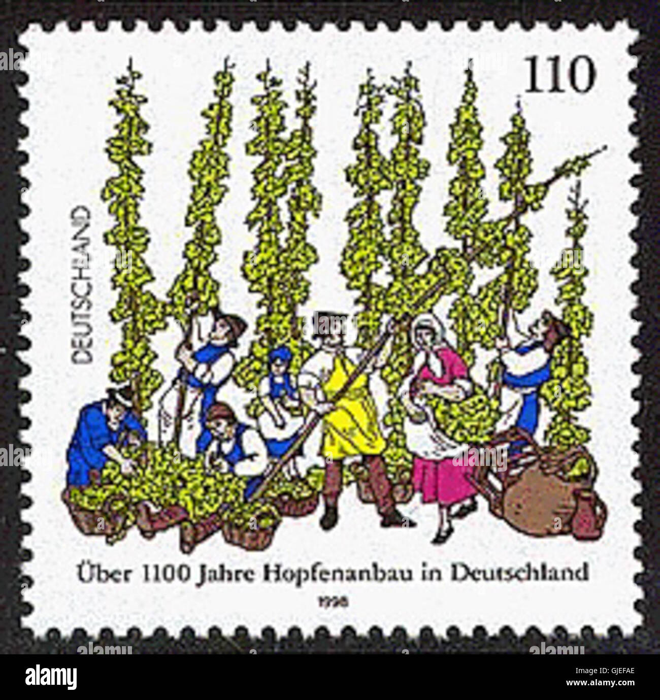 The Germany 1998 MiNr 1999 Hopfenanbau stamp commemorates the ...