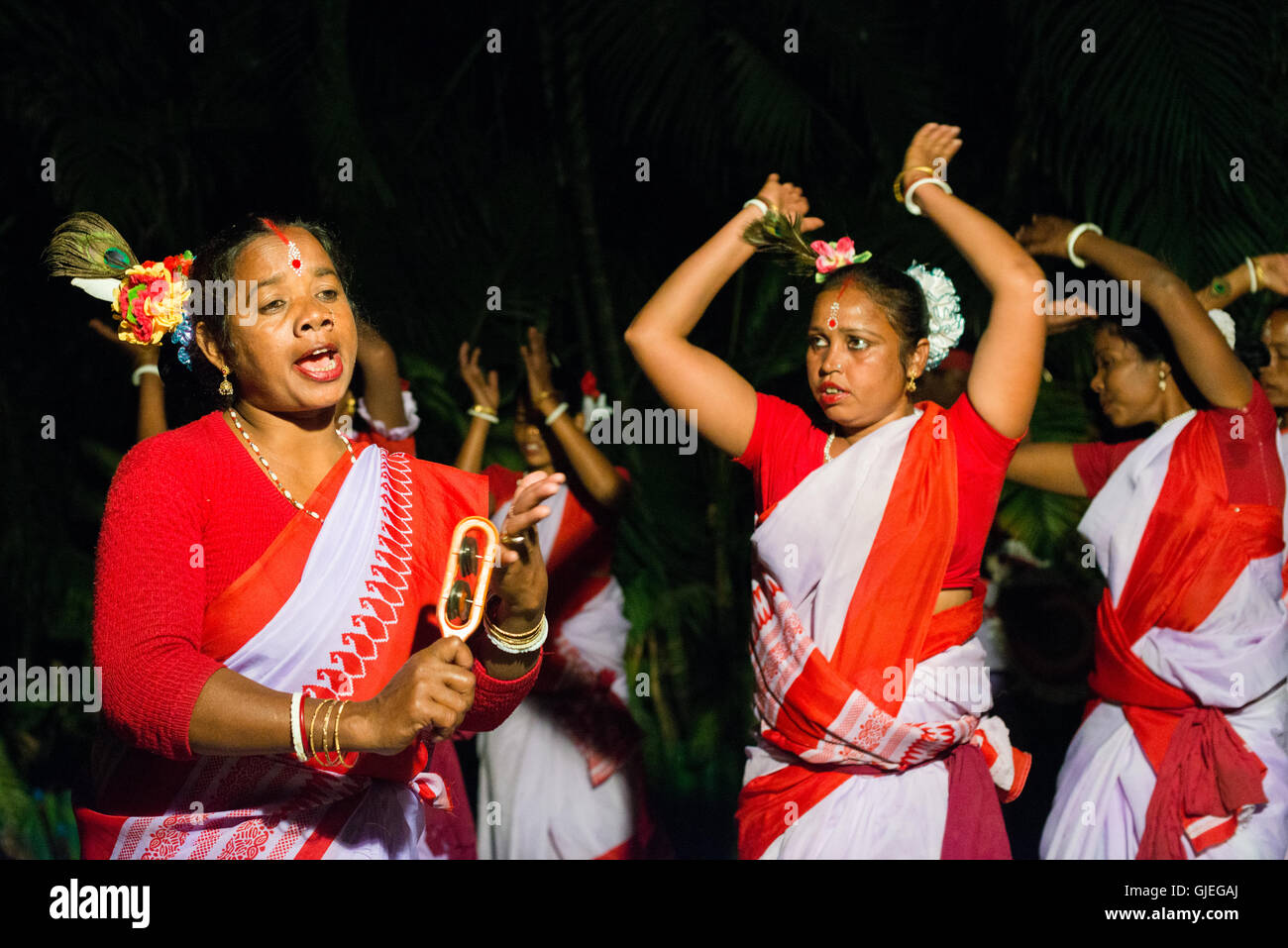 Traditional Bengali song and dance performed at the Tiger Camp in the ...