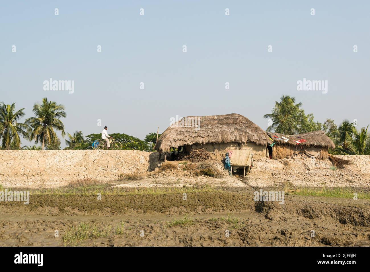 A traditional thatched house in the Sundarbans region of India Stock ...