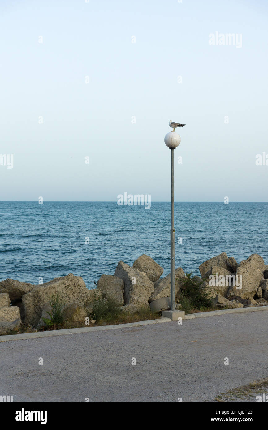 Large white lantern hi-res stock photography and images - Alamy