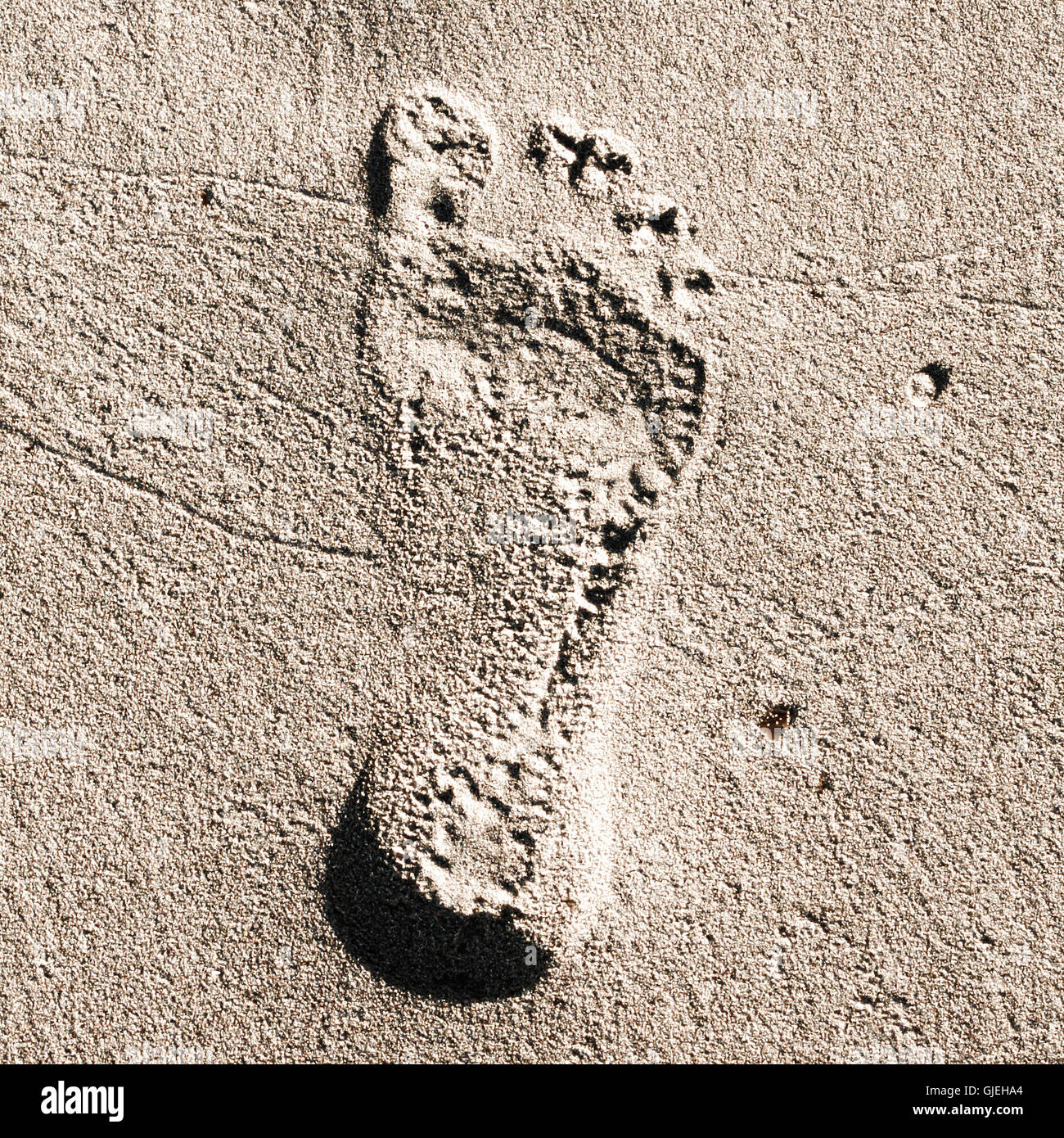 Human tracks on the beach Stock Photo - Alamy