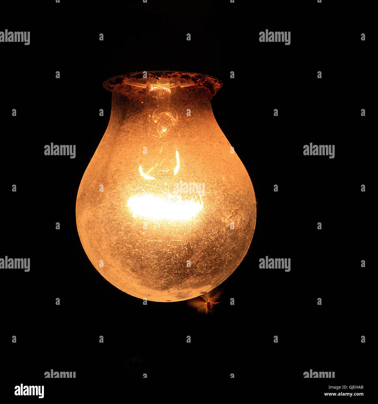 Moth light bulb hi-res stock photography and images - Alamy