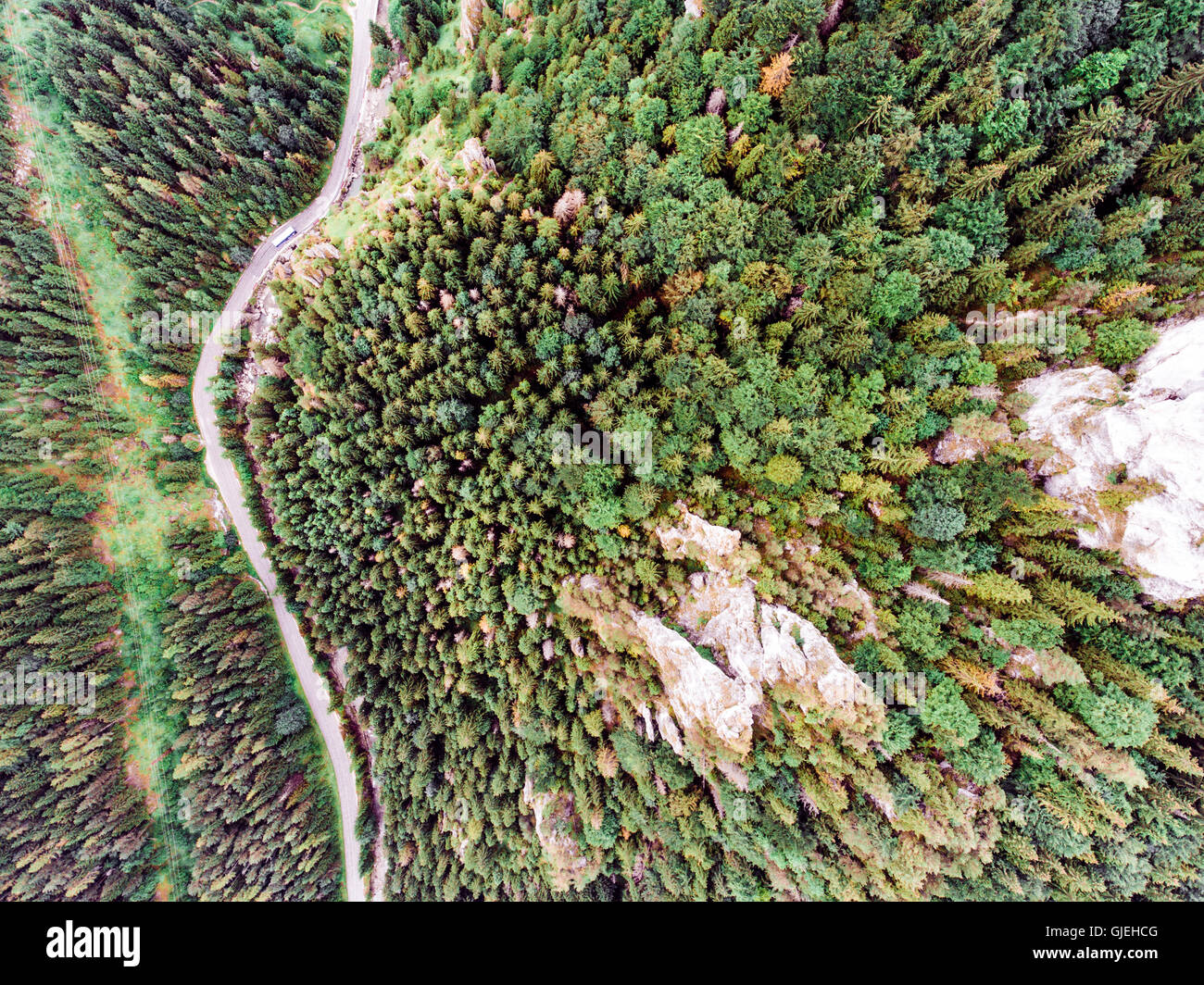 Beautiful landscape road conifer hi-res stock photography and images ...