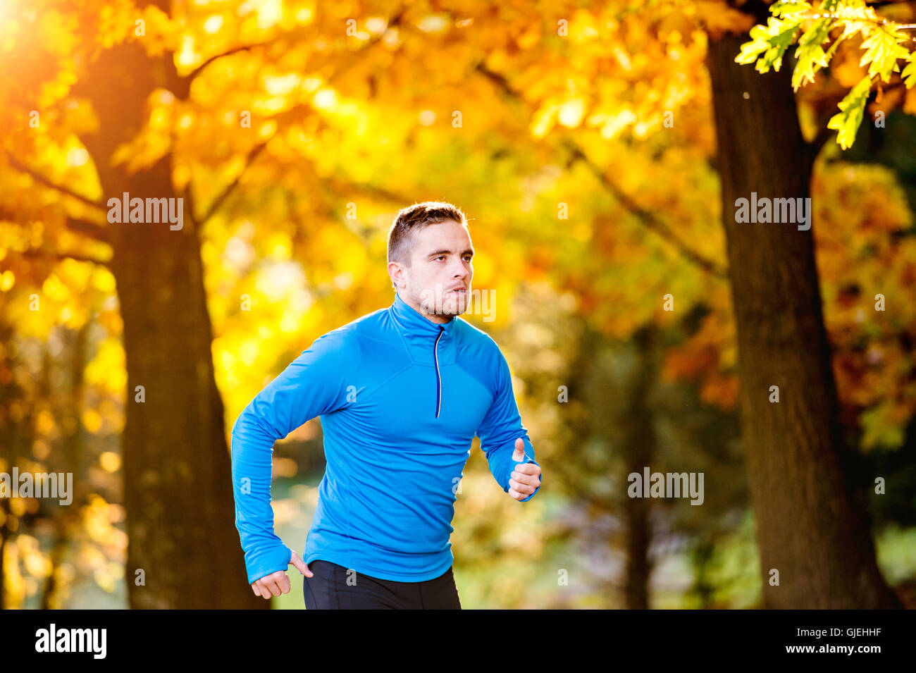 Handsome adult sportsman running hi-res stock photography and images ...