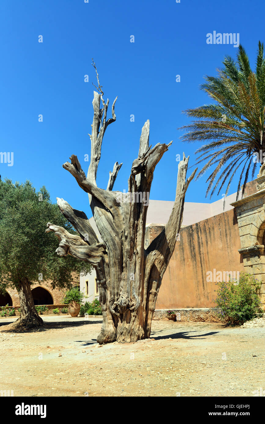 Arkadi monastery Greece Greek church landmark tree Stock Photo - Alamy