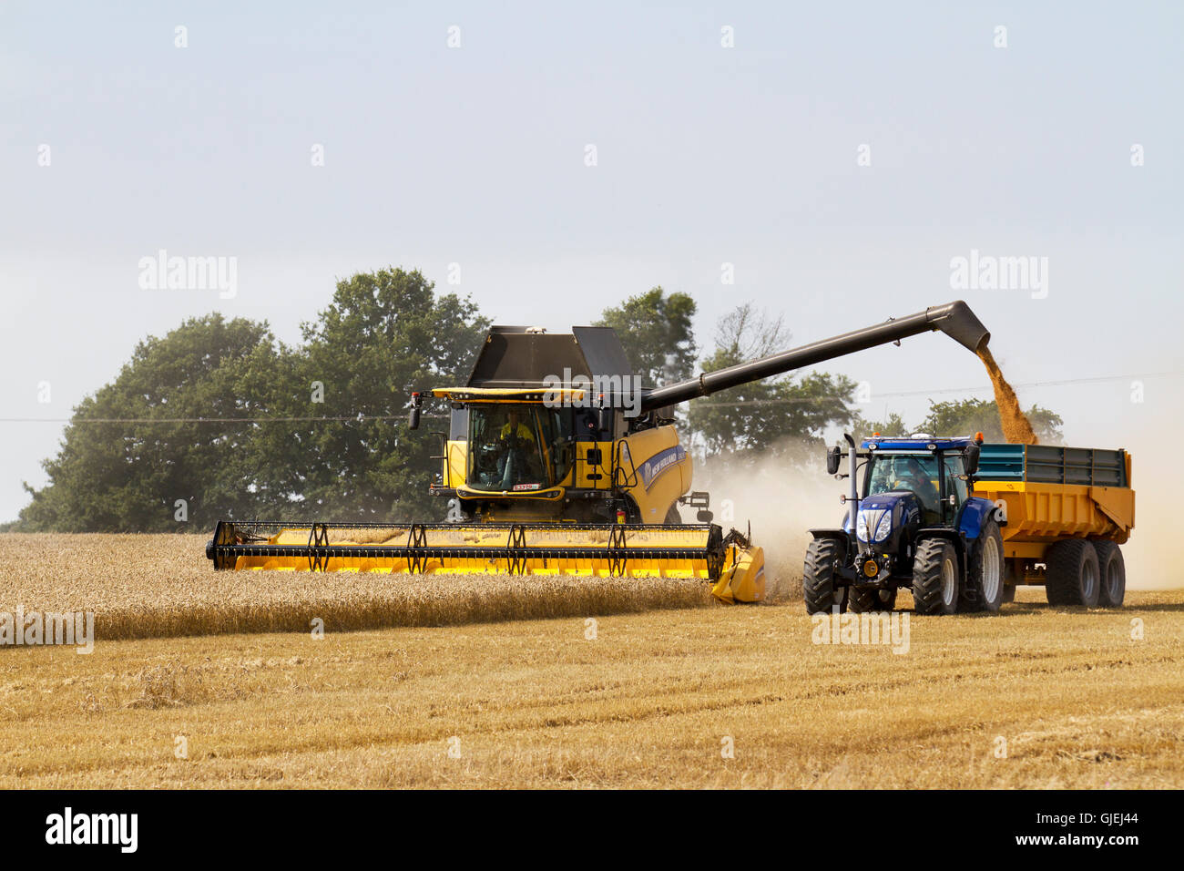 Tarleton, UK. 15th August, 2016. UK Weather. New Holland CR8.90 Combine ...