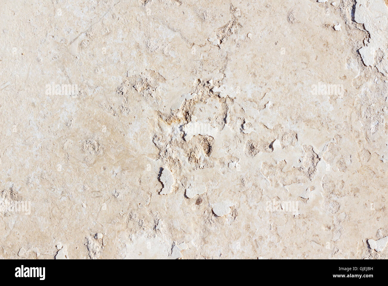 High resolution of white wall texture background Stock Photo - Alamy