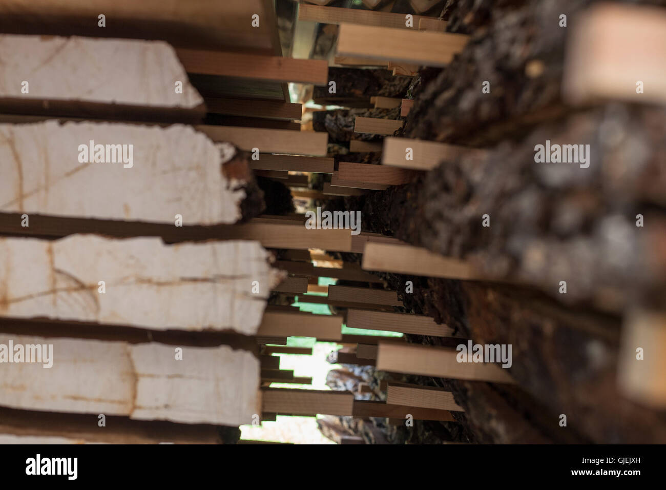 Milled pecan slabs layered and ready for assembly Stock Photo - Alamy
