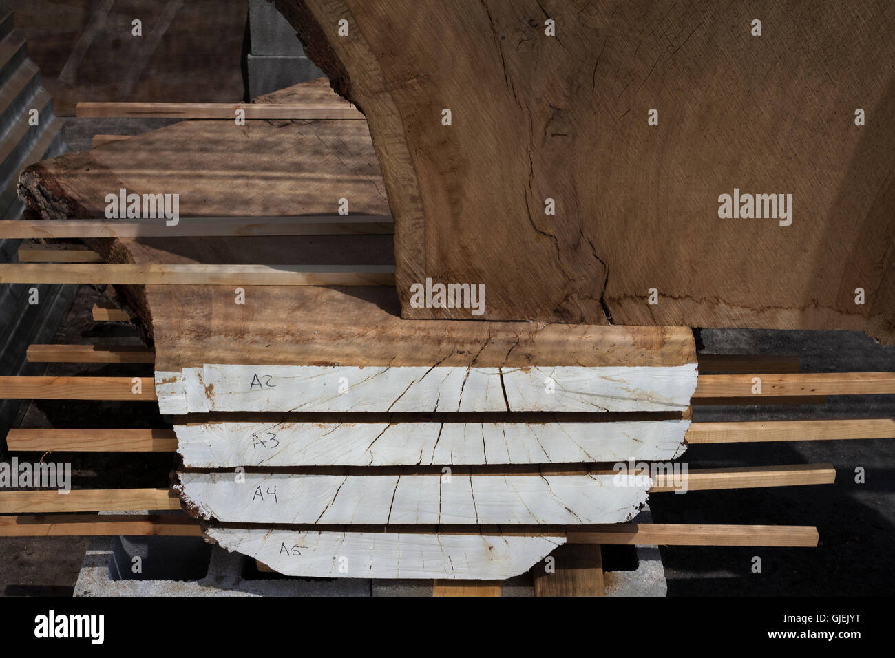 Milled pecan slabs layered and ready for assembly Stock Photo - Alamy