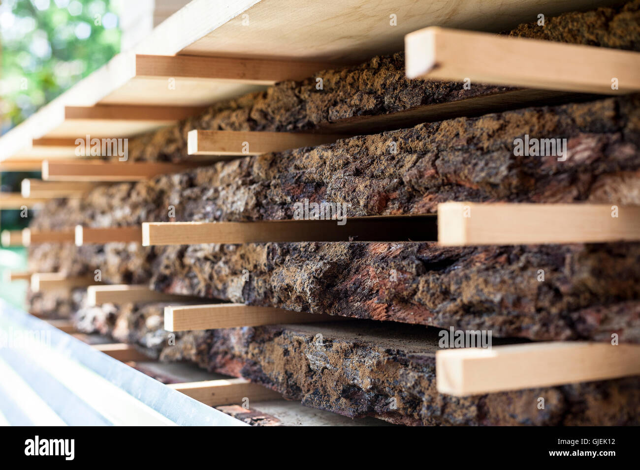 Milled pecan slabs layered and ready for assembly Stock Photo - Alamy