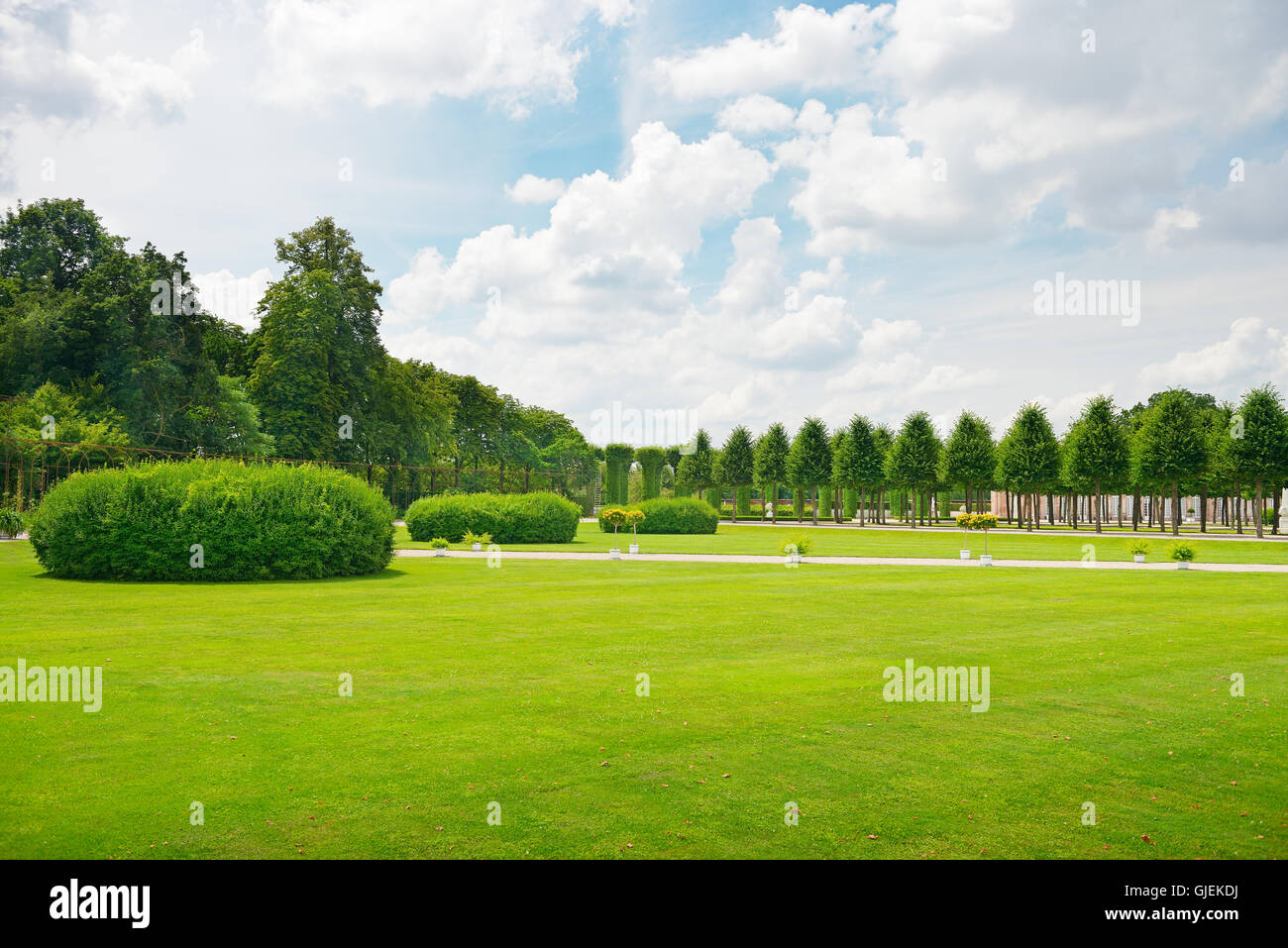 Meadow clearing hi-res stock photography and images - Alamy