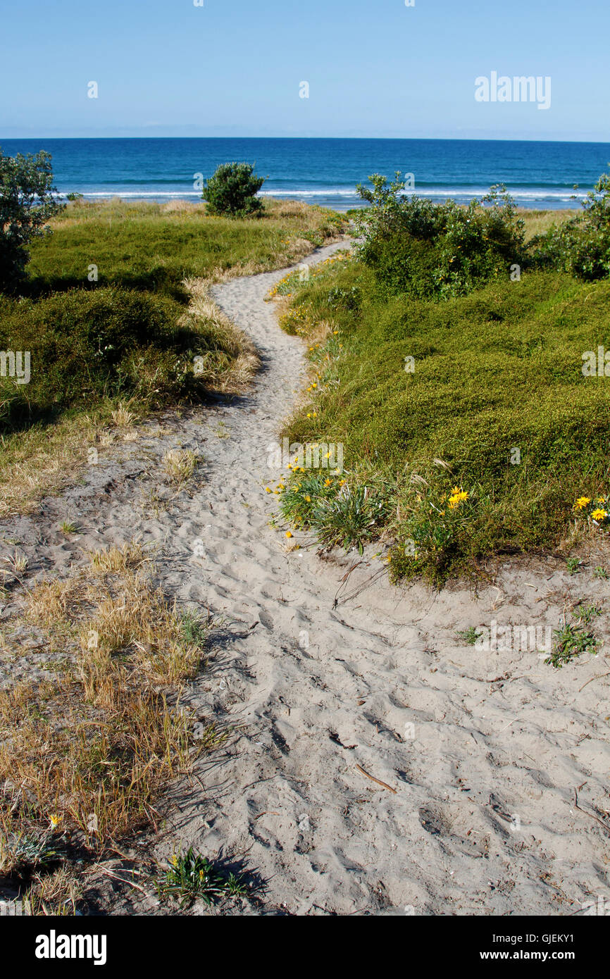 Walkway through sand dune leading to beach scene Stock Photo - Alamy