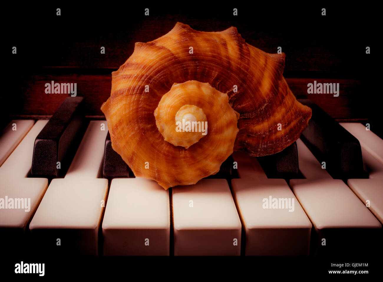 Music shell hi-res stock photography and images - Alamy