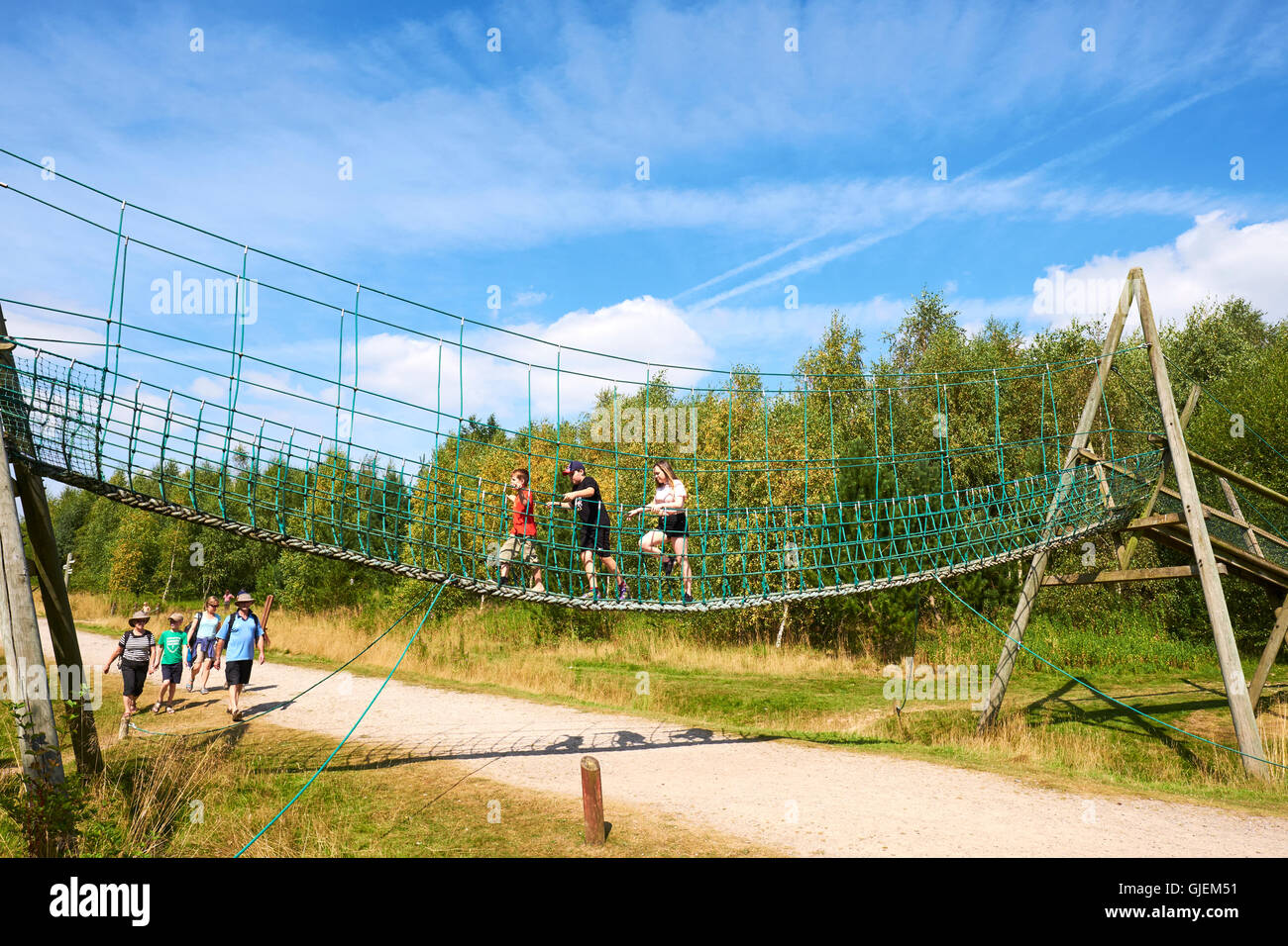 Conkers centre hi-res stock photography and images - Alamy