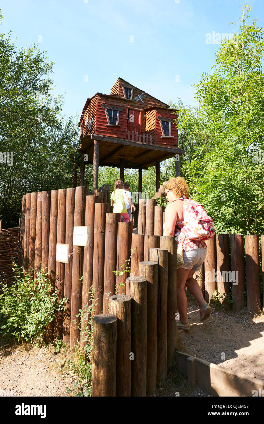 Fairy labyrinth conkers hi-res stock photography and images - Alamy