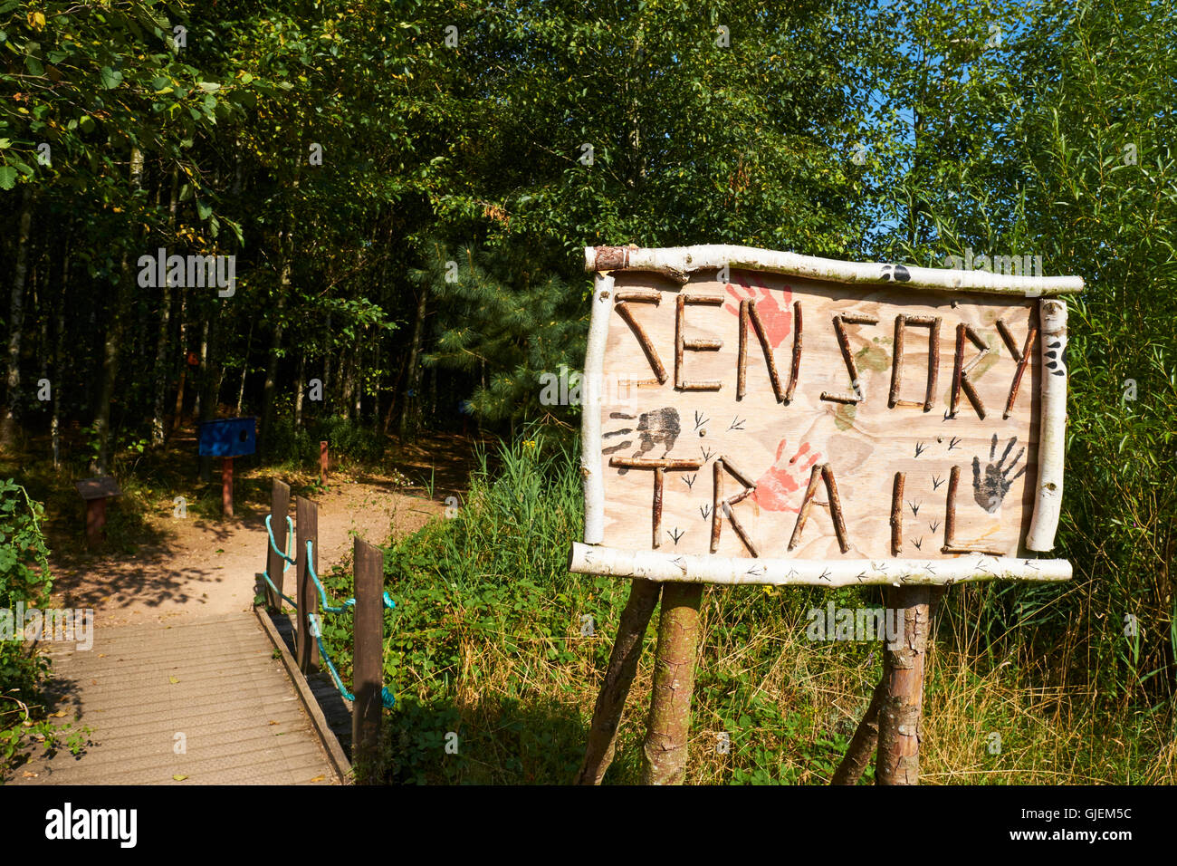 Sensory Trail Within Conkers An Attraction Within The National Forest ...