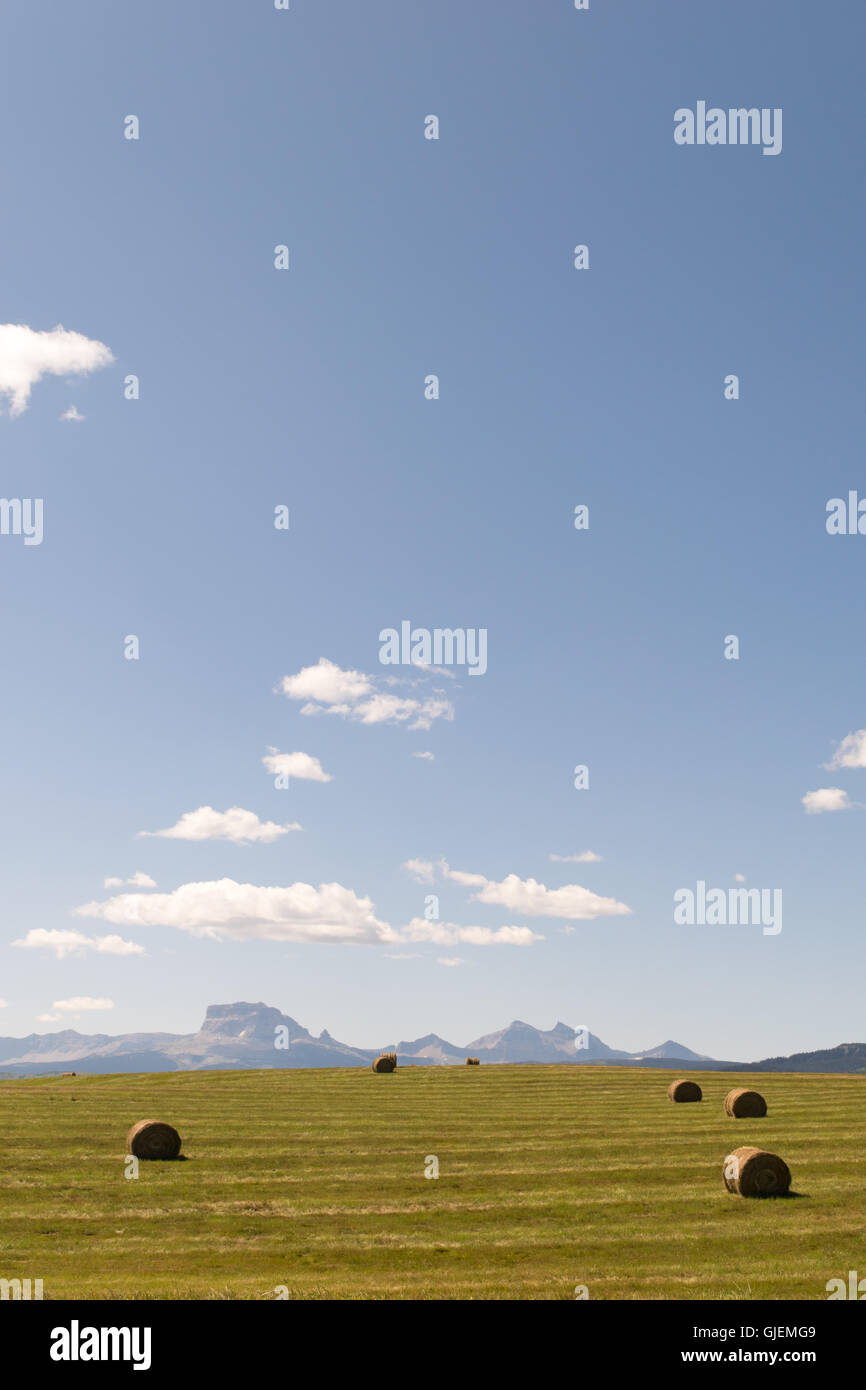 Canadian Prairies Near Waterton National Park, With Views of Chief ...