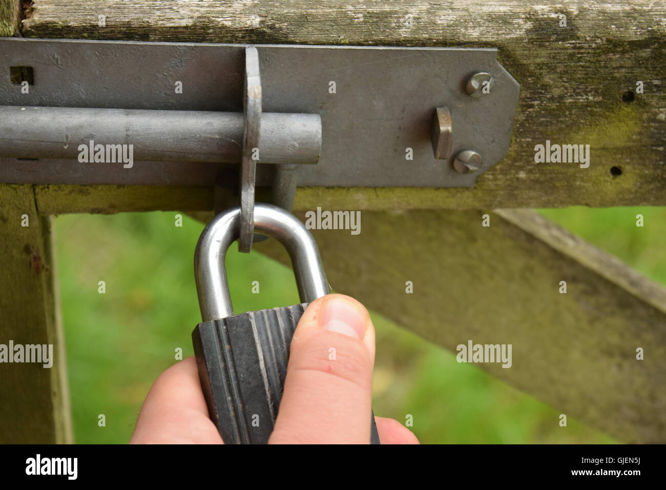 Man holding a padlock on a gate Stock Photo - Alamy