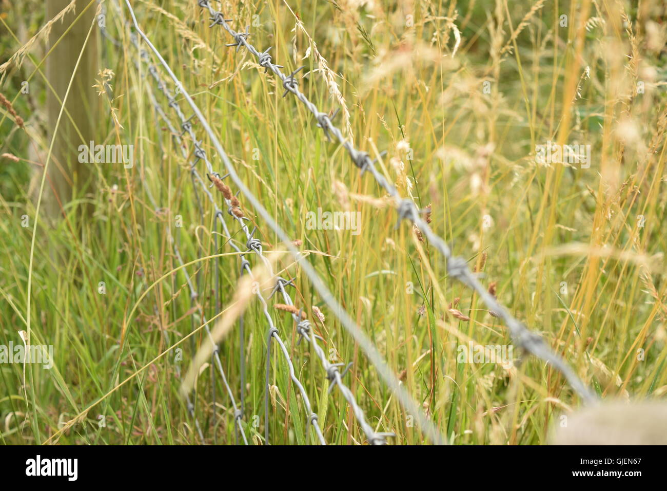 Side view locked wooden hi-res stock photography and images - Alamy