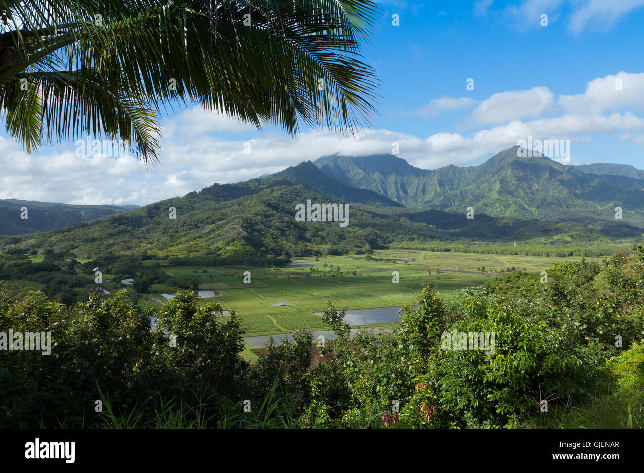 Hanalei bay hawaii hi-res stock photography and images - Alamy