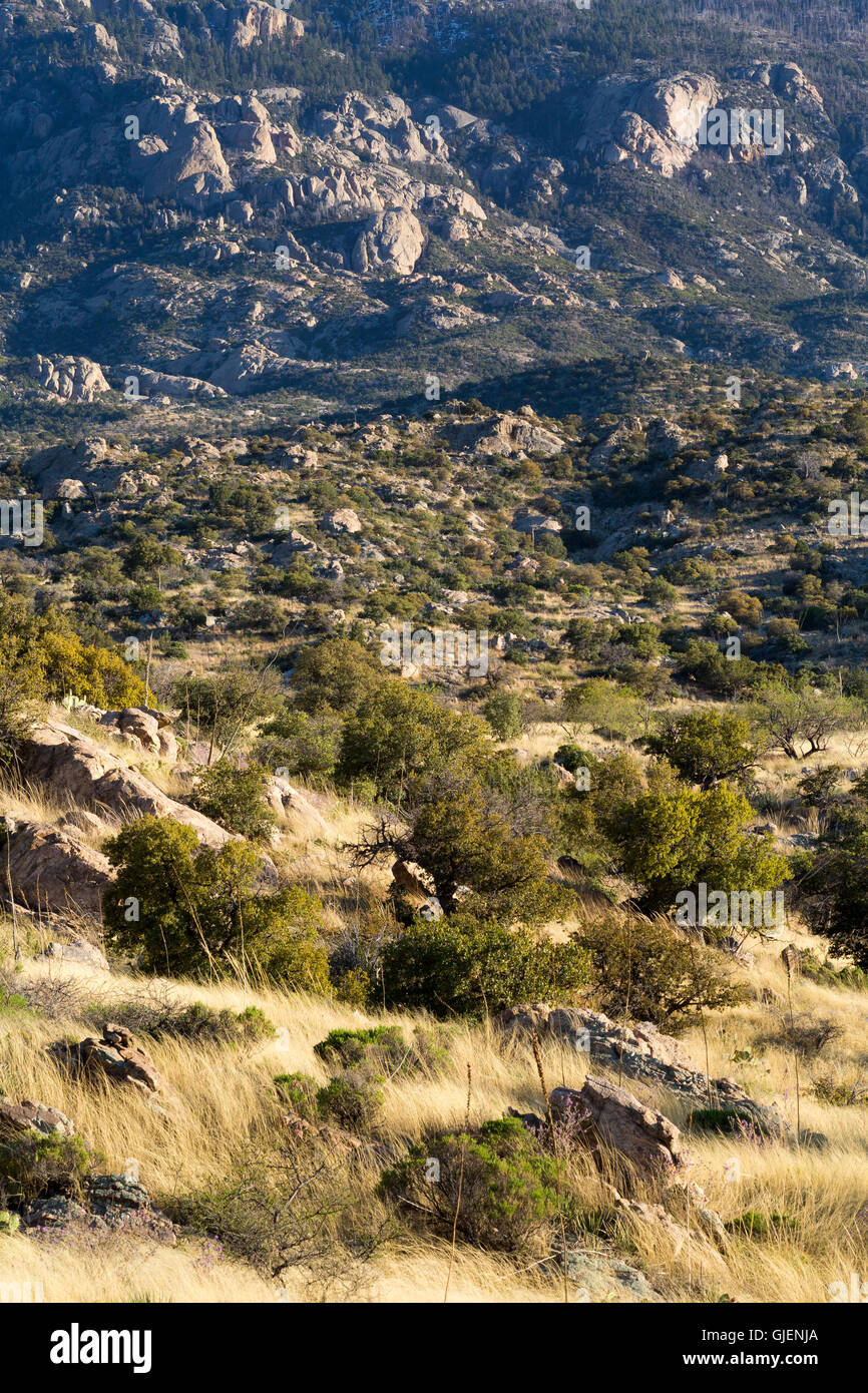 Mica Mountain rising up out of the Sonoran Desert grassland floor ...