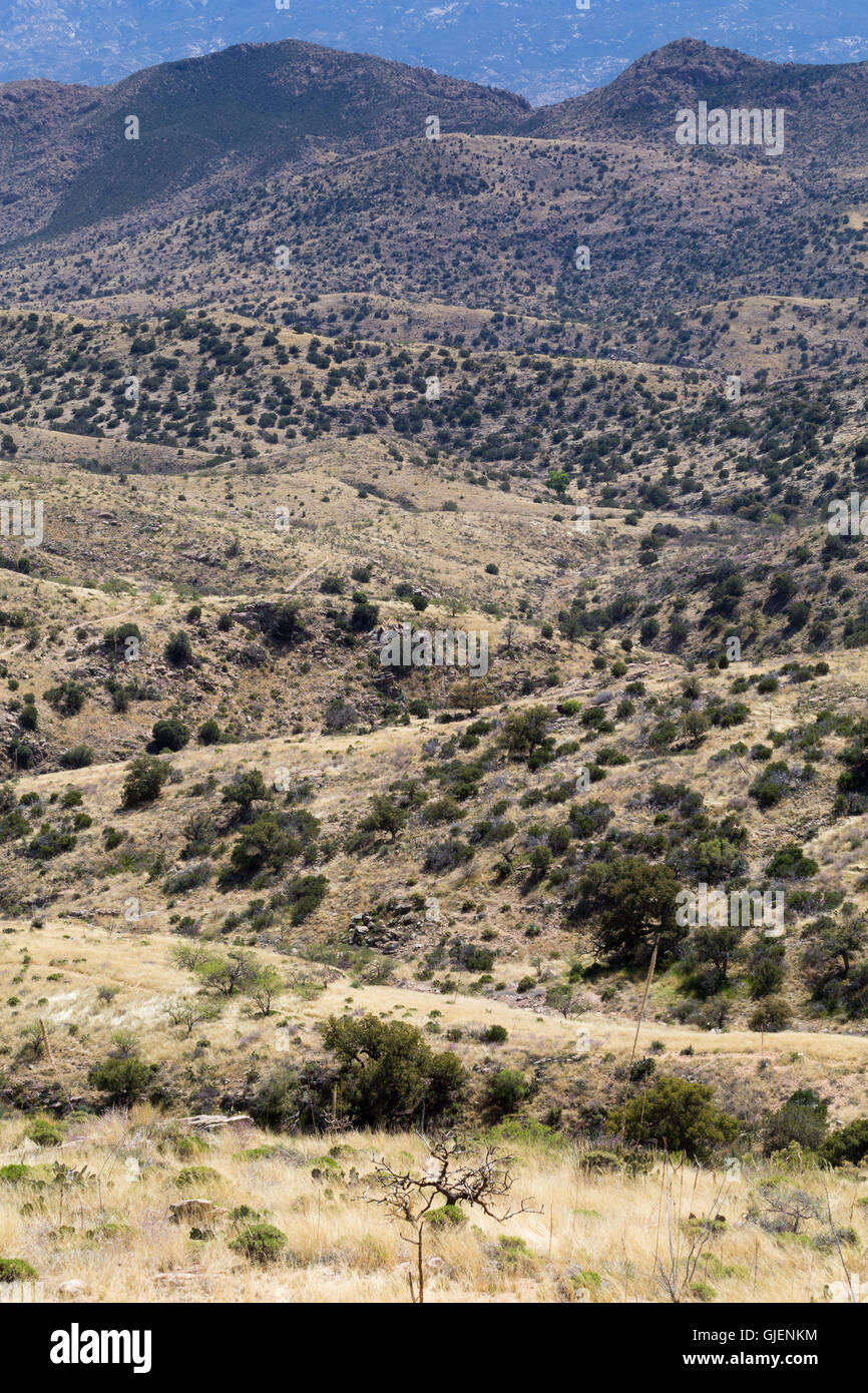 High desert grassland hills sprawled out below the Rincon Mountains ...