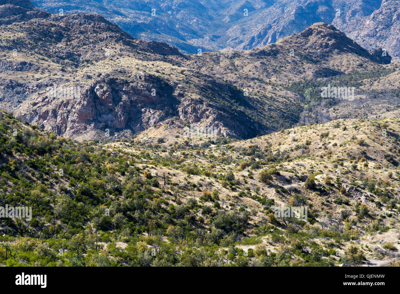 Sycamore canyon wilderness area hi-res stock photography and images - Alamy