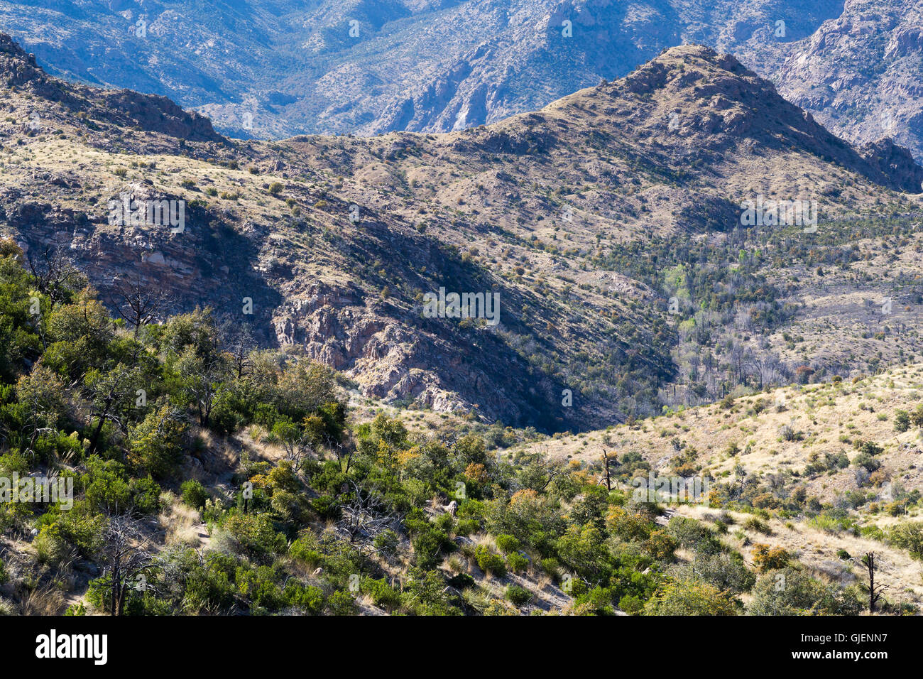 A vast network of hills and canyons around Sycamore Canyon in the Santa ...