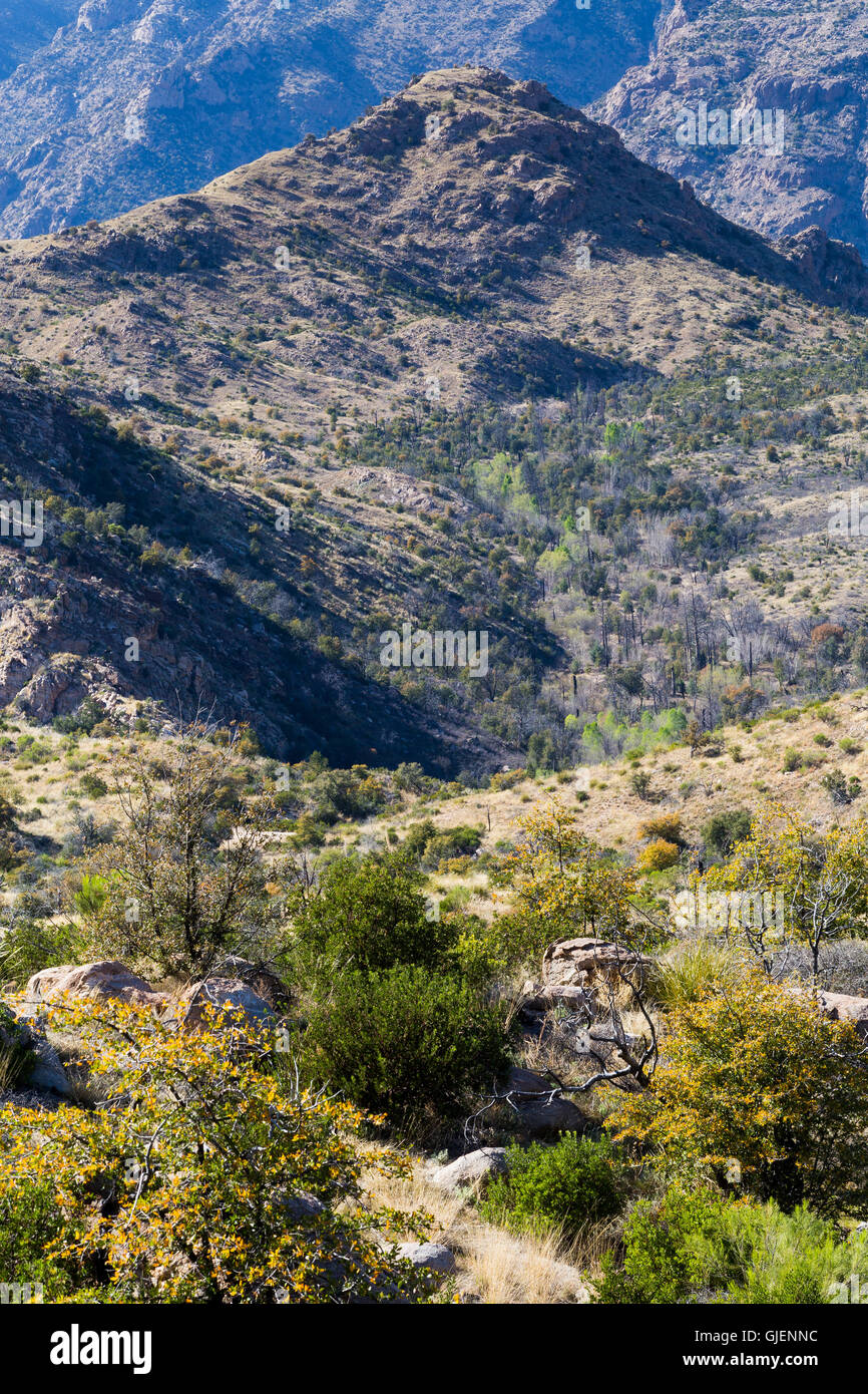 A vast network of hills and canyons around Sycamore Canyon in the Santa ...