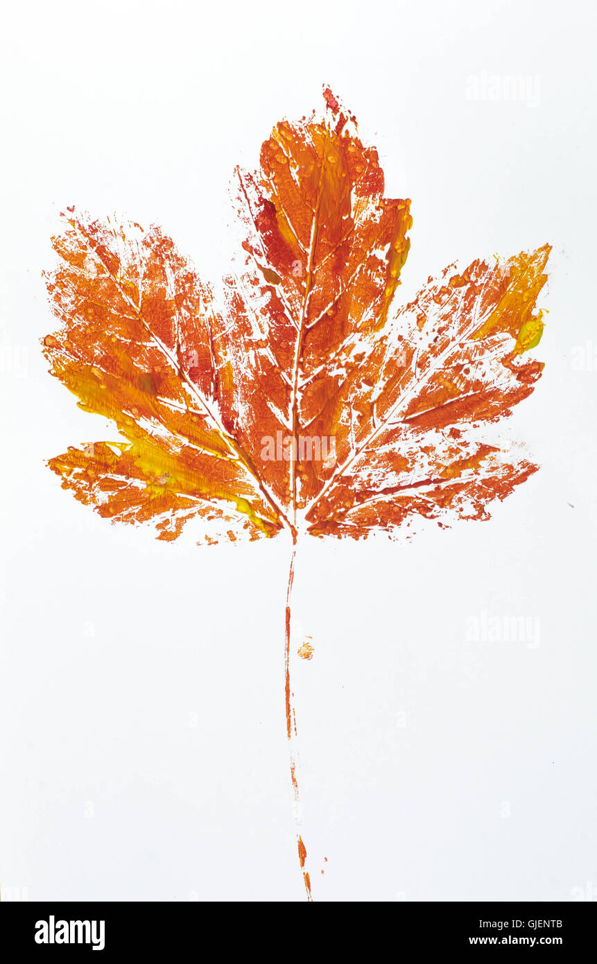 Printed leaf hi-res stock photography and images - Alamy