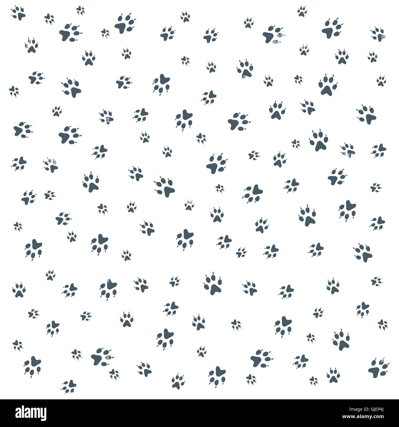 Nice picture of wild animal traces on a white background Stock Vector ...