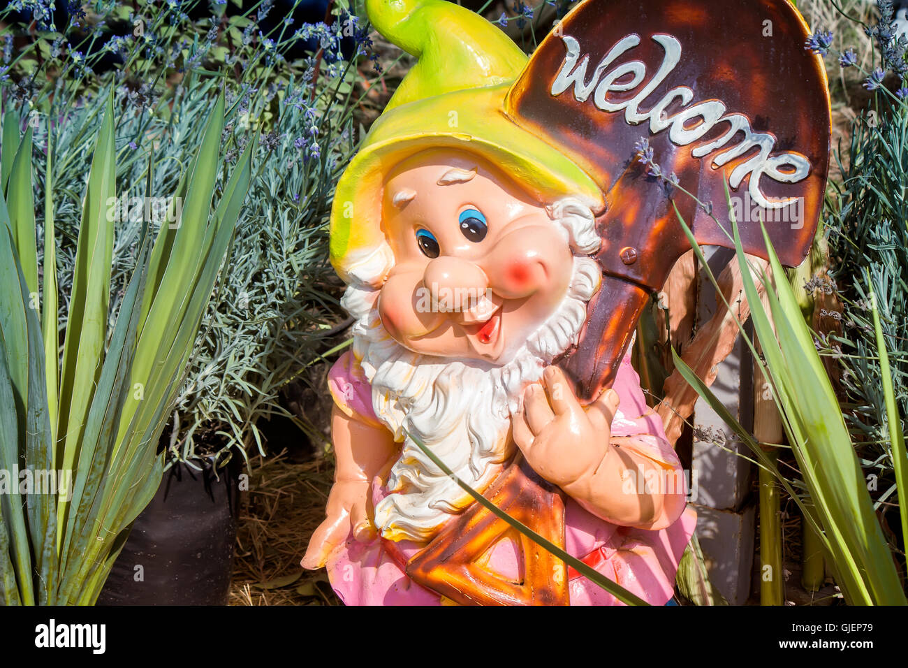 Hilarious funny, smiling dwarf with a white beard, digs earth and ...