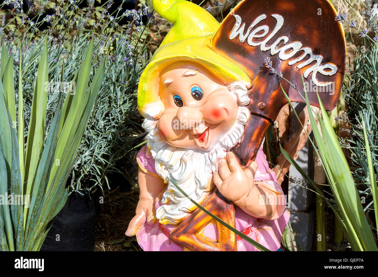 Hilarious funny, smiling dwarf with a white beard, digs earth and ...