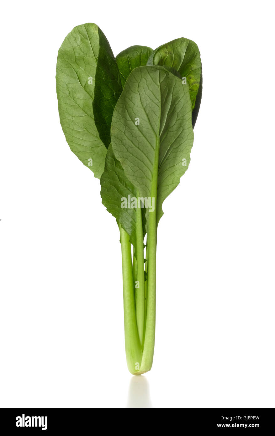Food pak choi isolated hi-res stock photography and images - Alamy