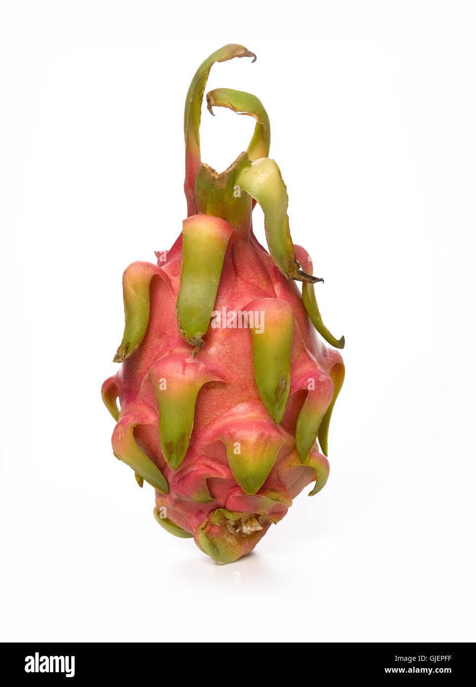 Isolated Dragon Fruit Stock Photo - Alamy
