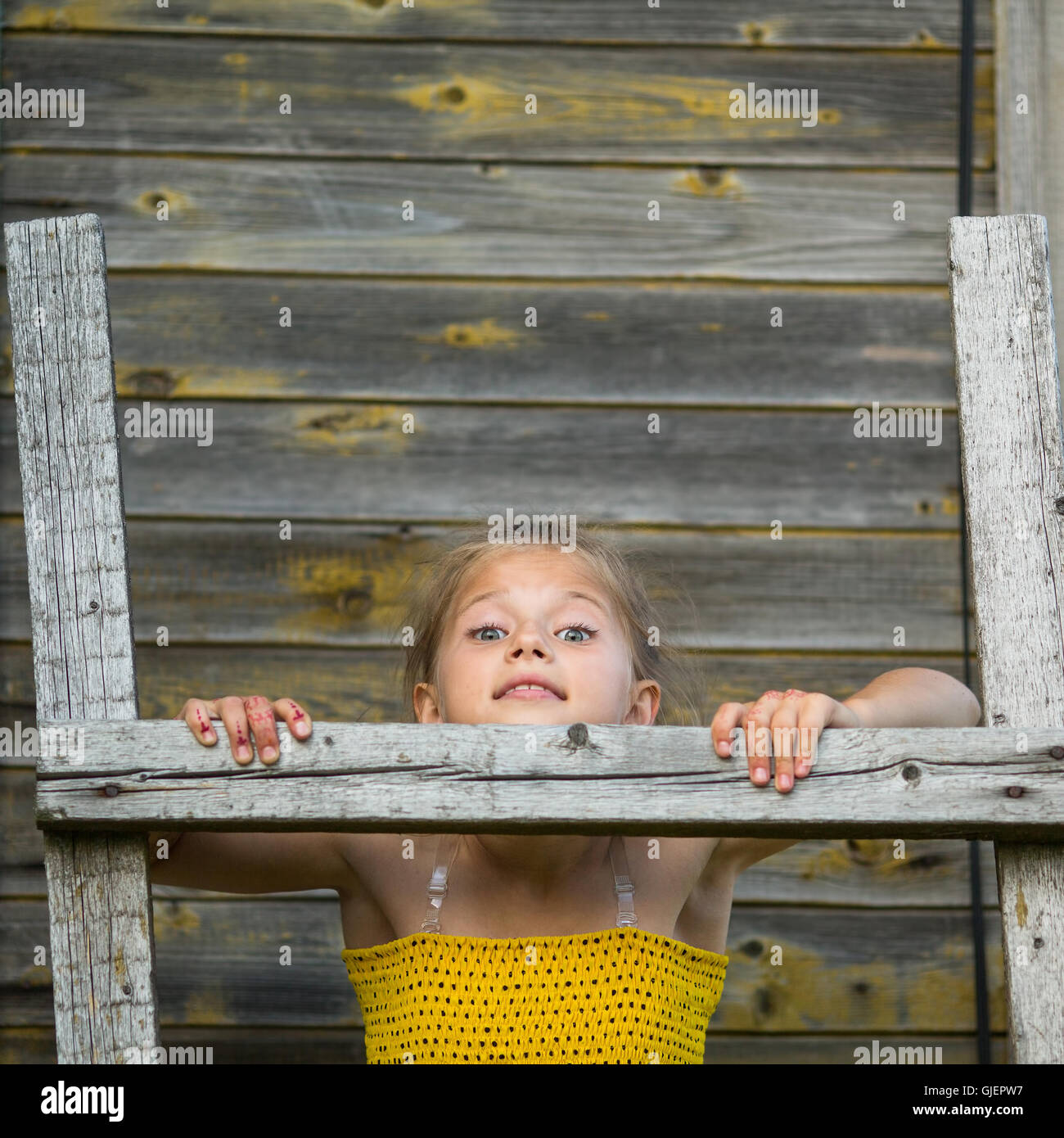 Cute little girl stands on a wooden ladder at the wall of a village ...