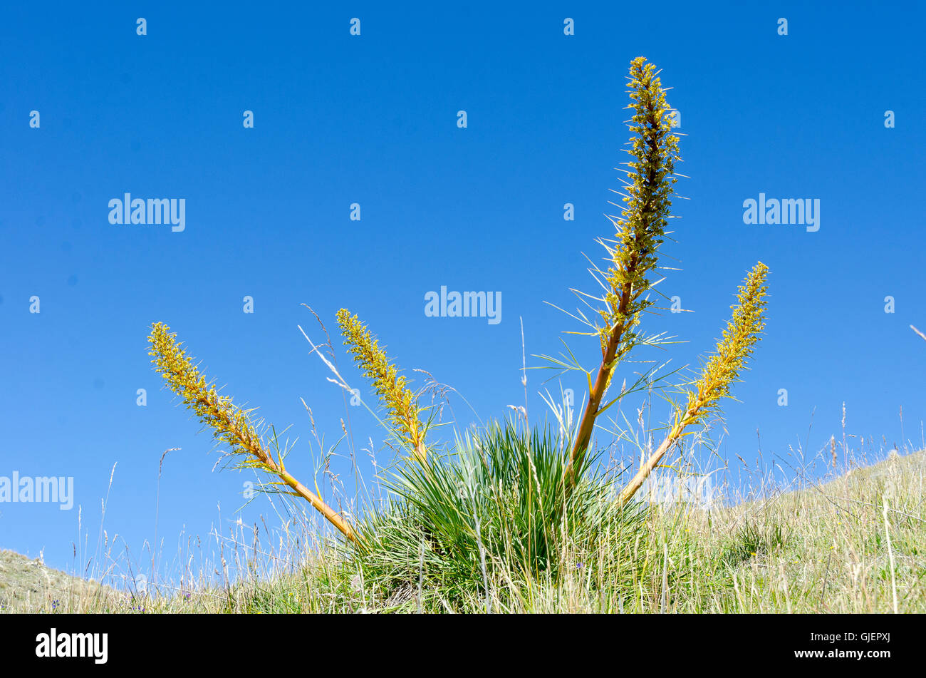Clarence River New Zealand High Resolution Stock Photography and Images ...