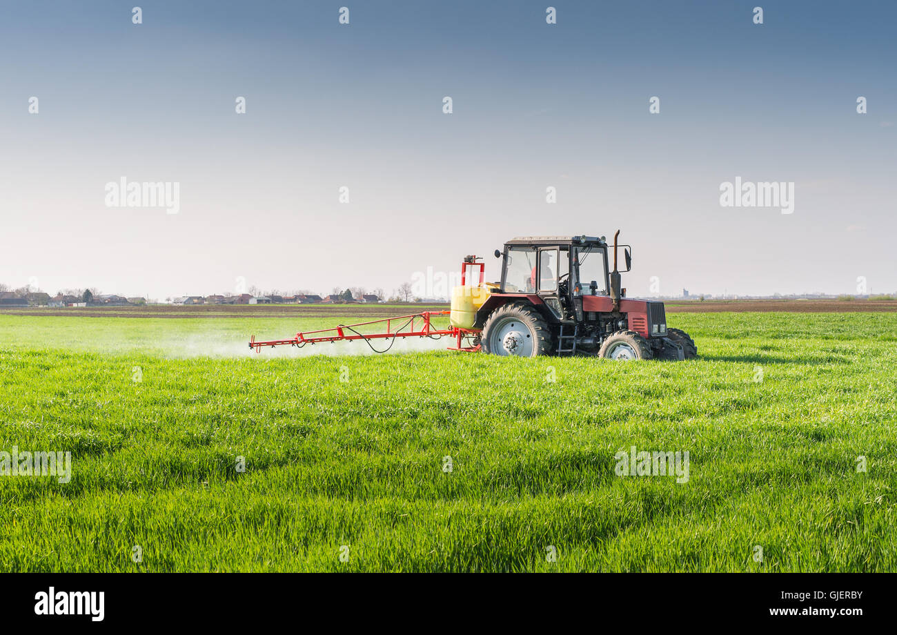 Tractor spraying wheat field with sprayer Stock Photo - Alamy