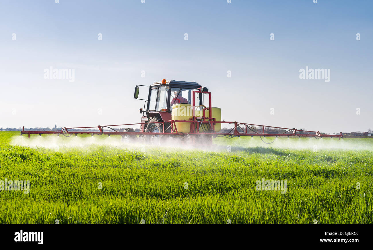 Tractor spraying wheat field with sprayer Stock Photo - Alamy