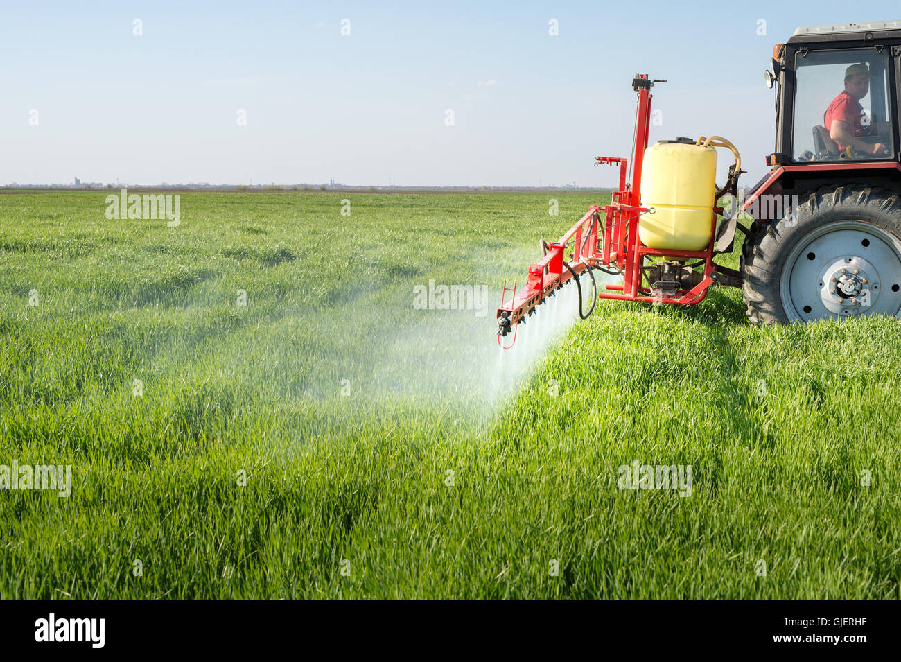 Tractor spraying wheat field with sprayer Stock Photo - Alamy