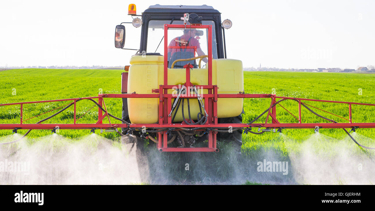 Tractor spraying wheat field with sprayer Stock Photo - Alamy