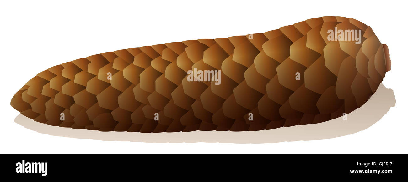 Constipation - symbolically depicted with a brown spruce cone Stock ...